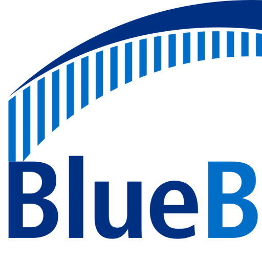 Contact Us | BlueBridge Networks